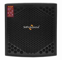 10 SUB – Studiomaster Professional